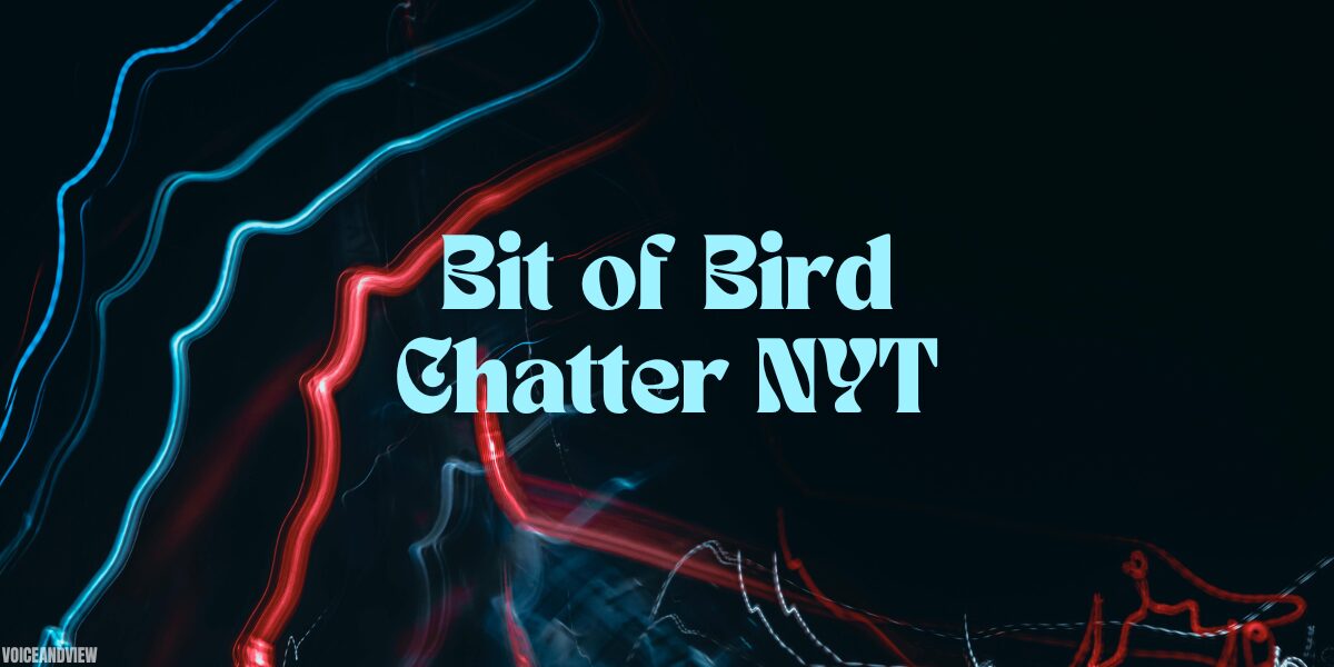 Bit Of Bird Chatter NYT: Essential Joys Of Birdwatching